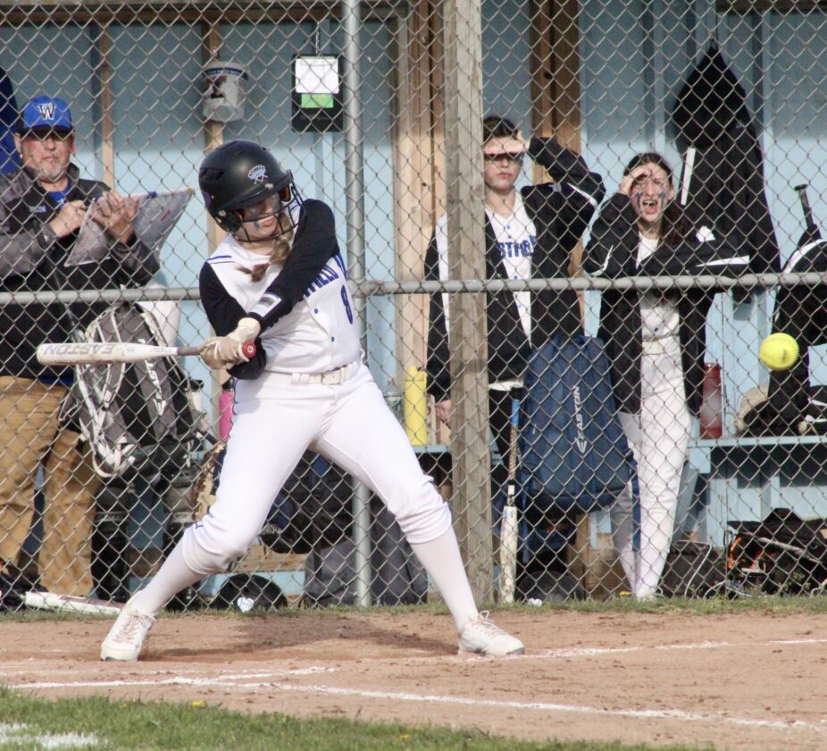 Dellow leads Wolverines past Panthers | News, Sports, Jobs - Observer Today
